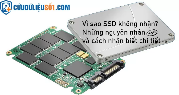 Vì sao SSD không nhận? Những nguyên nhân và cách nhận biết chi tiết